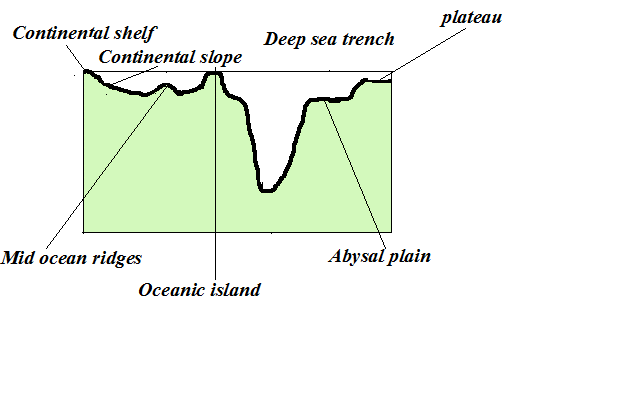 OCEANS, SEAS AND THEIR COASTS - Elimu Centre